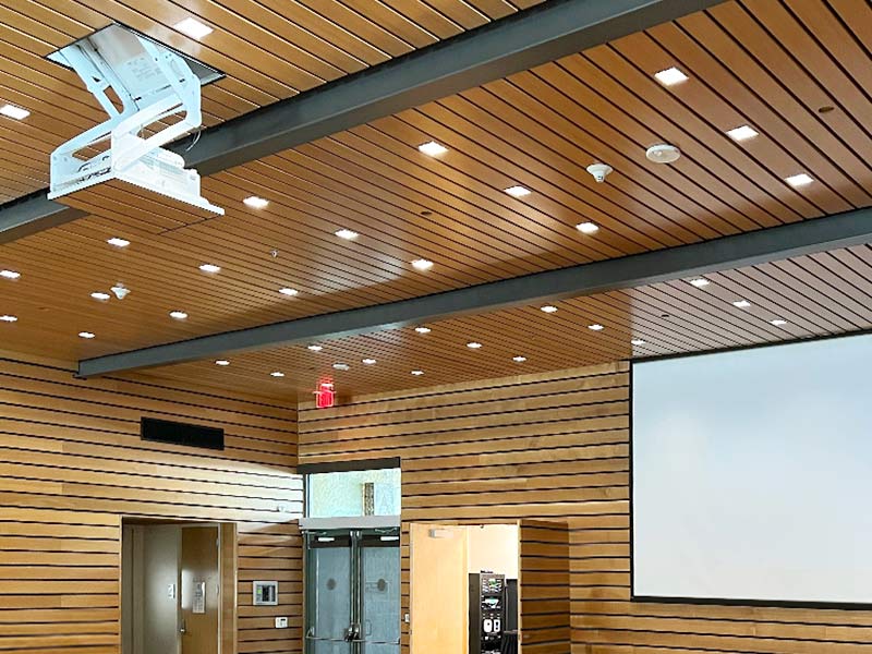 Projectors & Motorized Screens For Business | Mood Texas